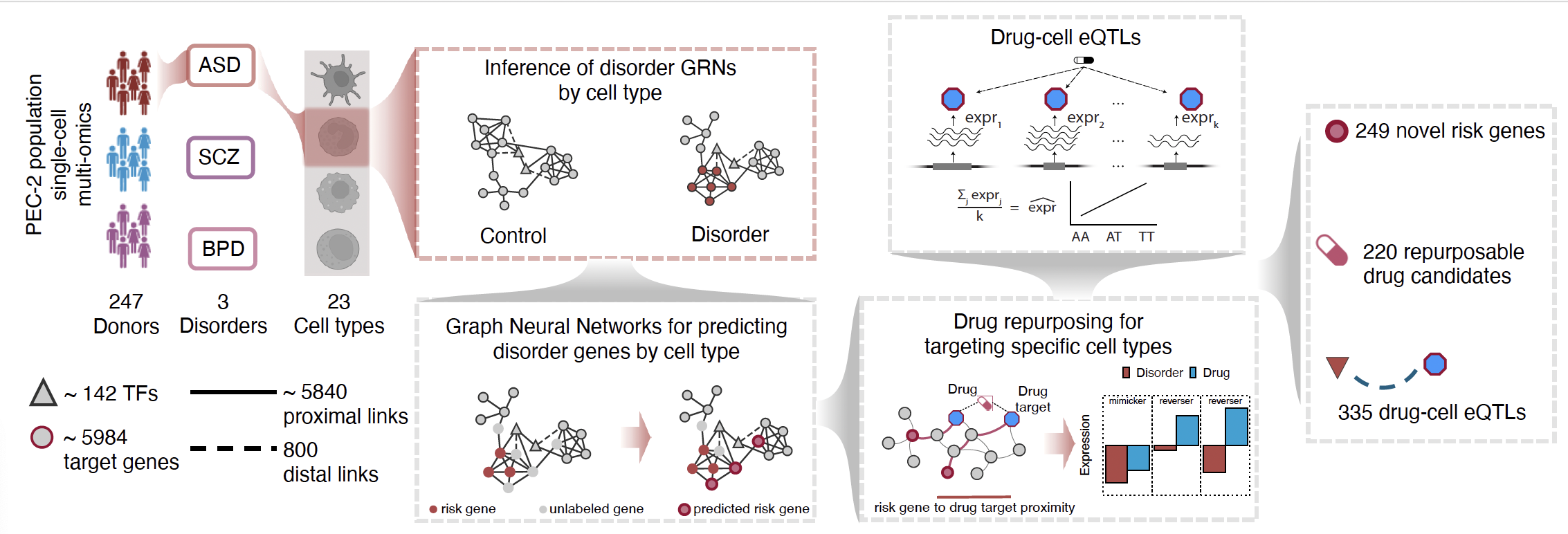 PsychENCODE Phase III